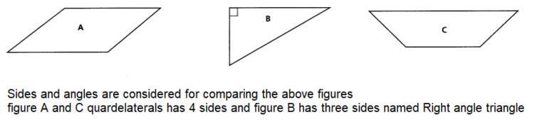 Math Expressions Grade 4 Unit 8 Lesson 10 Answer Key Classify Polygons ...