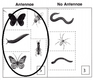 Math Expressions Grade 1 Unit 6 Lesson 1 Answer Key Explore ...