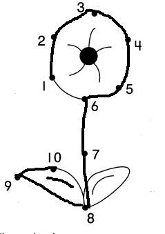 Math Expressions Kindergarten Unit 2 Answer Key 5-Groups in Numbers 6 ...