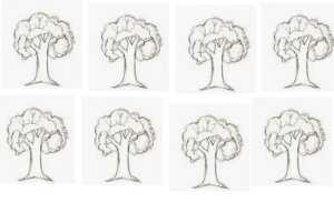 Math Expressions Kindergarten Unit 3 Answer Key Teen Numbers as Tens ...