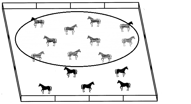 Math Expressions Kindergarten Unit 3 Answer Key Teen Numbers as Tens ...