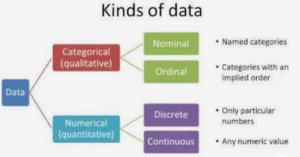 Math Expressions Grade 1 Unit 6 Lesson 2 Answer Key Organize ...