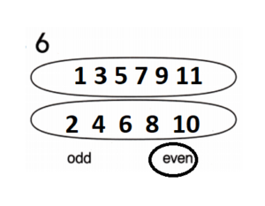 Math Expressions Grade 2 Student Activity Book Unit 1 Lesson 6 Answer ...